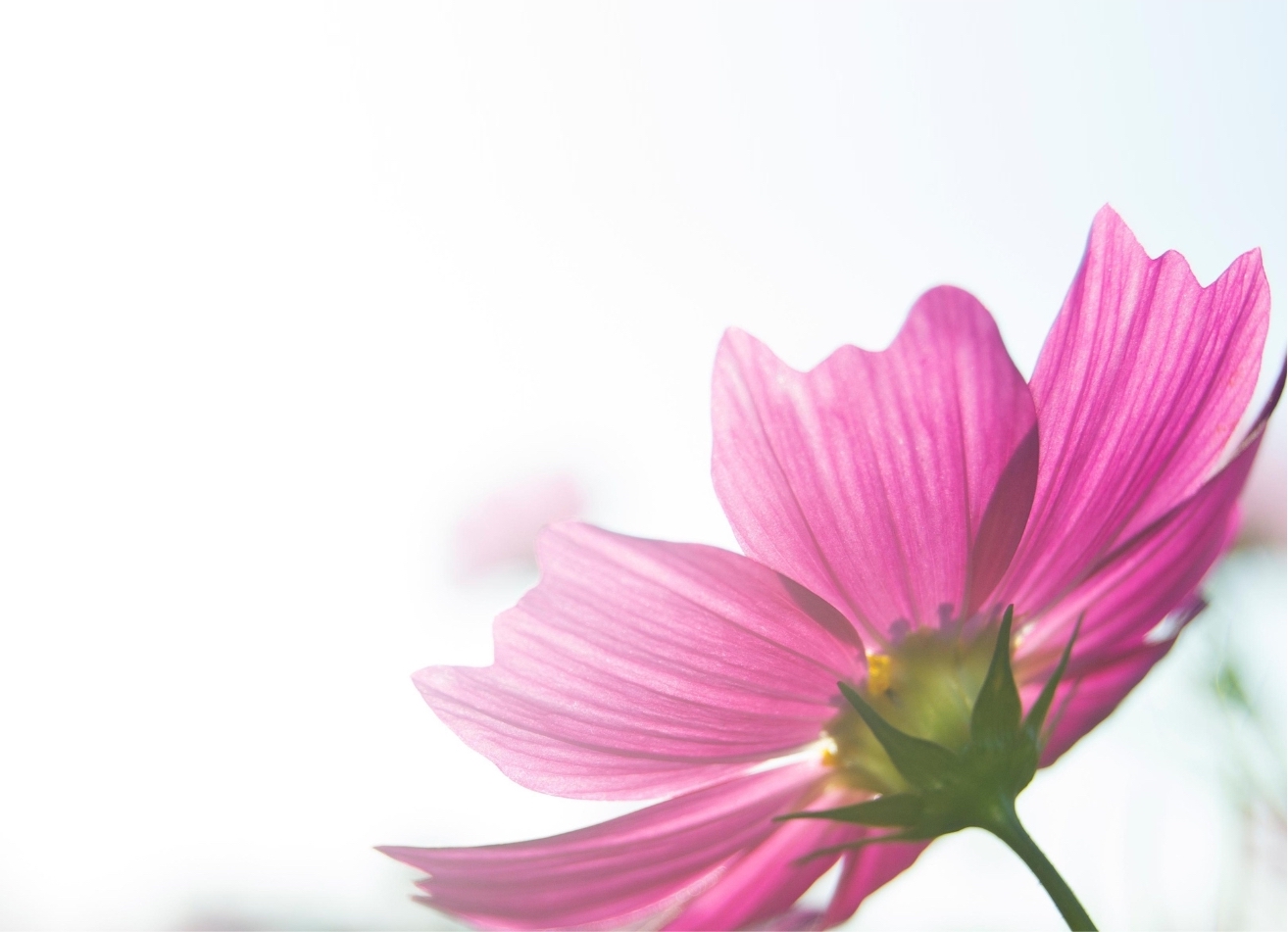 Radiology And Medical Imaging - Mahaska Health